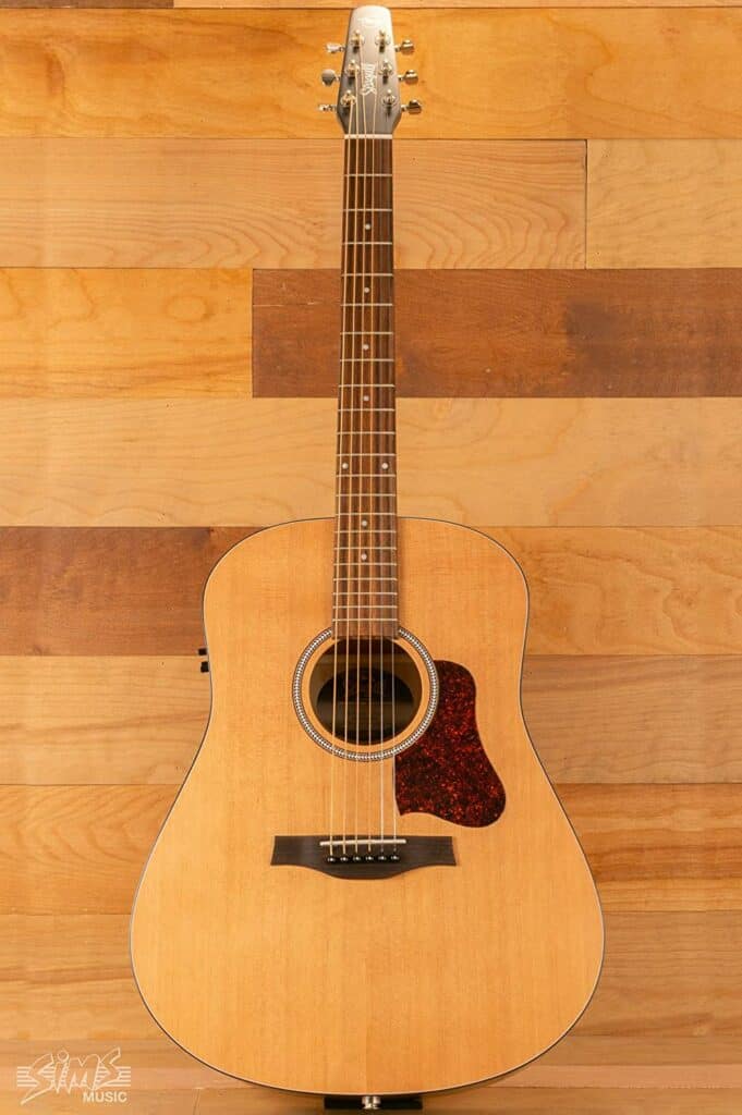 The Full Martin DX1AE Acoustic Electric Guitar Review - Guitar Space