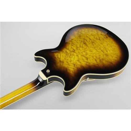 The Ibanez Artcore AM93 Semi-Hollow Electric Guitar Review You Will ...