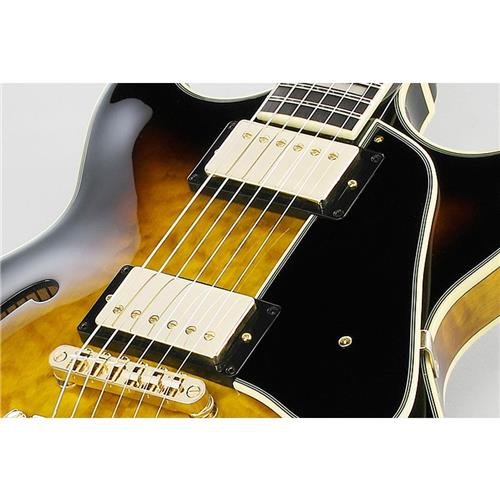 The Ibanez Artcore AM93 Semi-Hollow Electric Guitar Review You Will ...