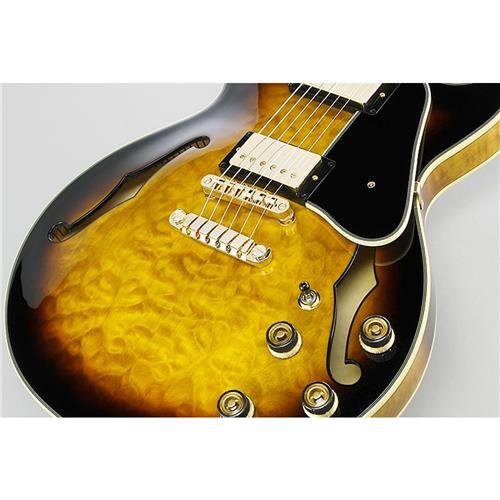 The Ibanez Artcore AM93 Semi-Hollow Electric Guitar Review You Will ...