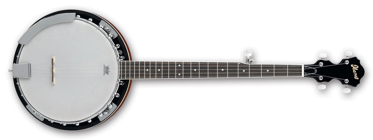 Top 5 Best Banjo Brands for Beginning Banjo Players - Guitar Space