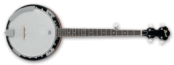 Top 5 Best Banjo Brands for Beginning Banjo Players - Guitar Space