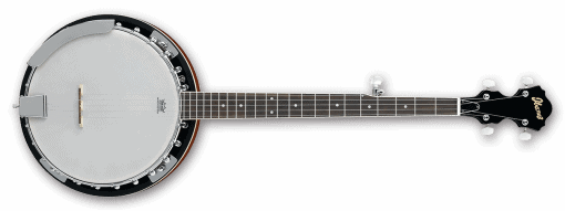 Top 5 Best Banjo Brands for Beginning Banjo Players - Guitar Space