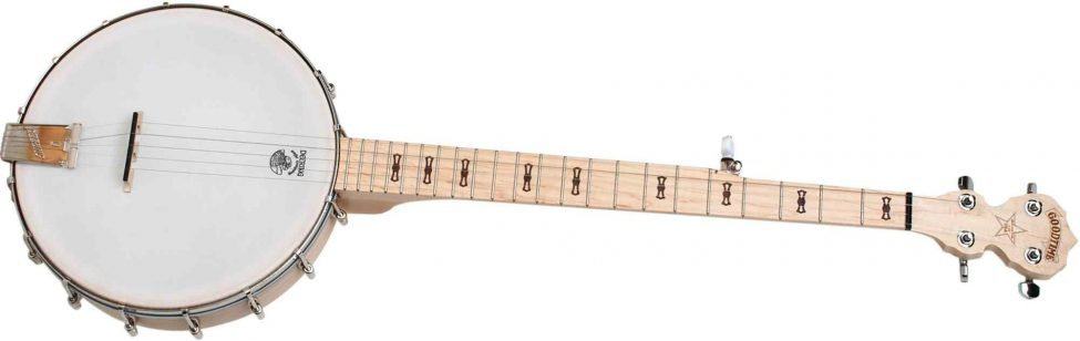 Top 5 Best Banjo Brands for Beginning Banjo Players - Guitar Space