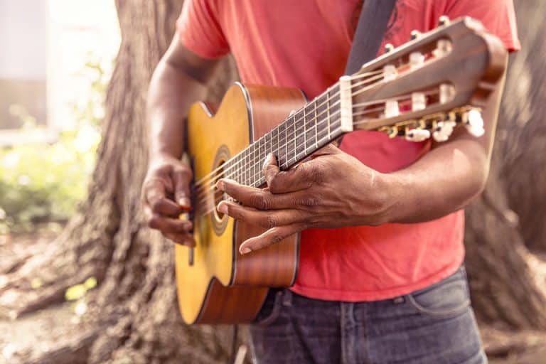 Dreadnought vs Concert: Which is a Better Acoustic Guitar Variant ...