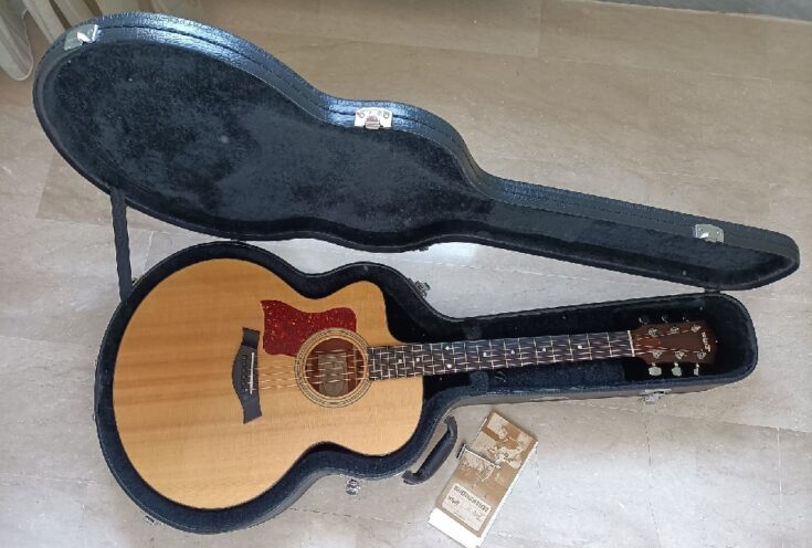 Taylor 315ce Review: Everything You Need to Know - Guitar Space