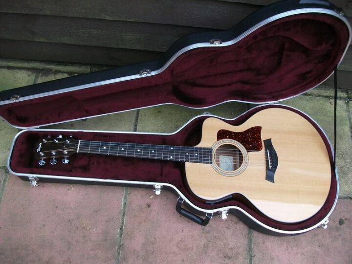 Taylor 315ce Review: Everything You Need to Know - Guitar Space