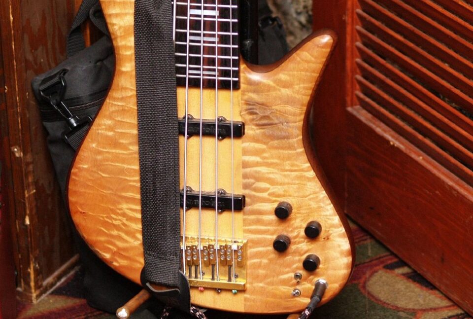 The Most Expensive Bass Guitars Available Today - Guitar Space