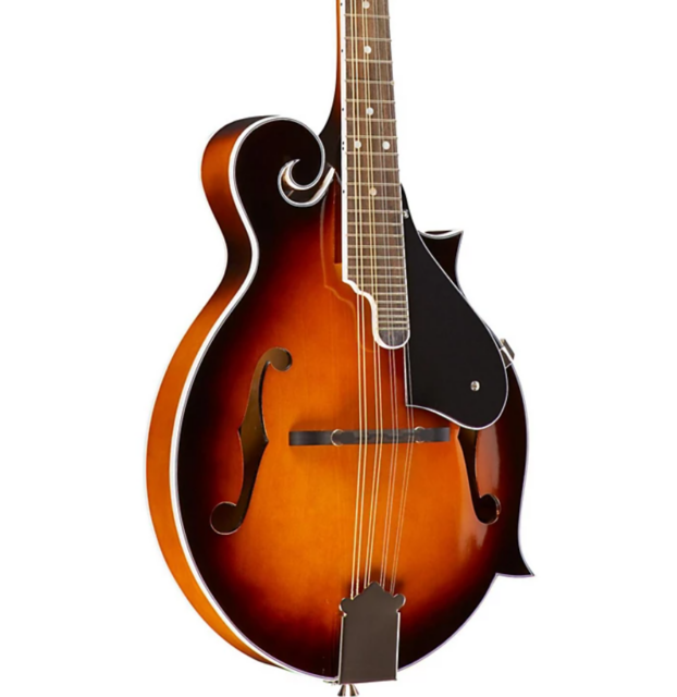 The Best Mandolins for Your Money - Guitar Space