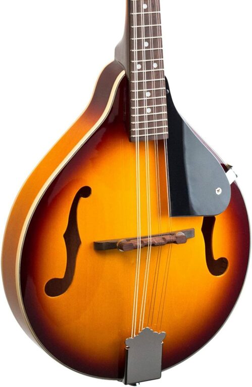 The Best Mandolins for Your Money - Guitar Space