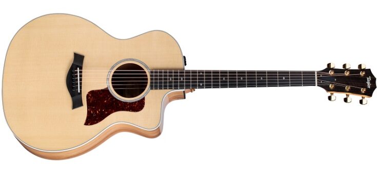 Thin Neck Acoustic Guitars Guide - Guitar Space