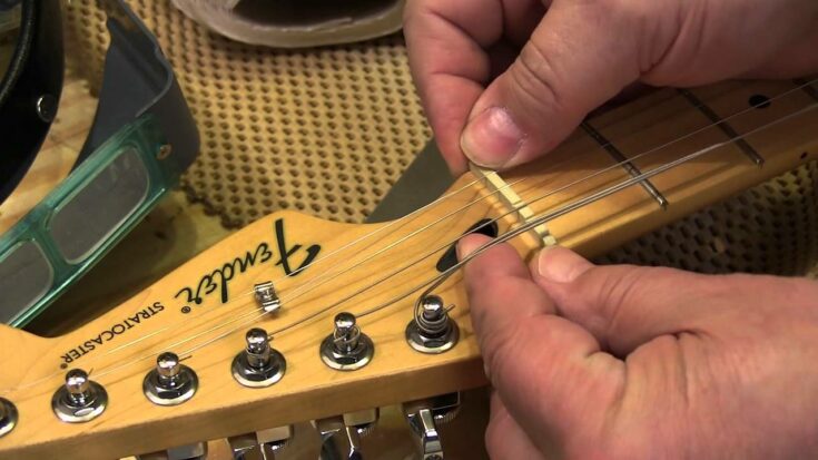 TUSQ vs Bone Nut: A Guitarist's Guide - Guitar Space