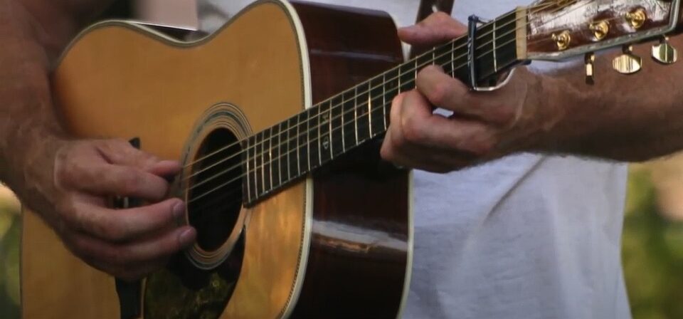 Zager Guitars History & Model Guide - Guitar Space