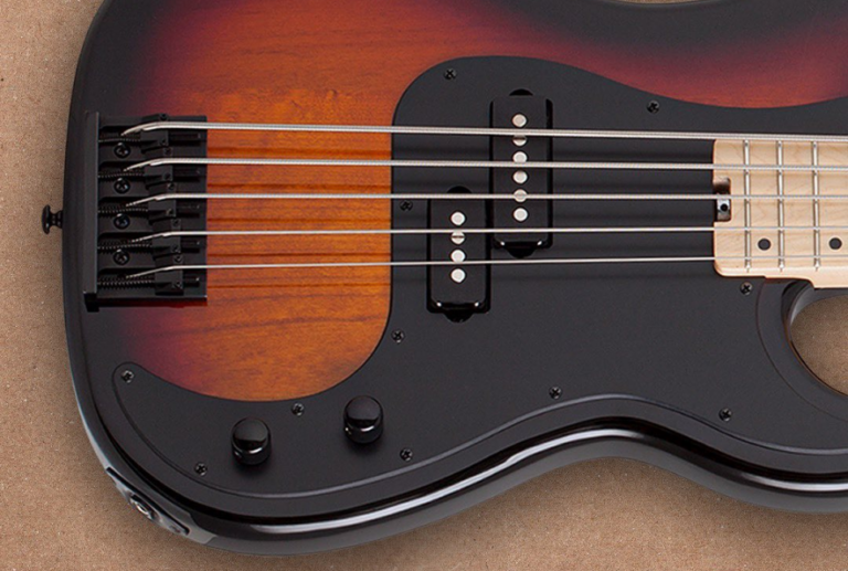 Ibanez vs Schecter: Which Brand Is Best For You? - Guitar Space