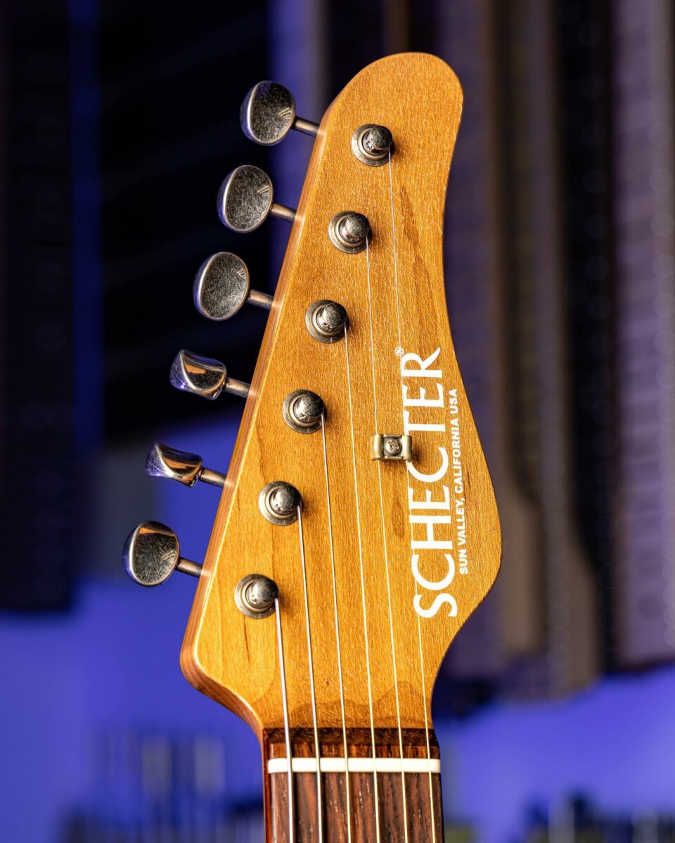 Schecter Diamond Series Guide: Heavy Tone and Quality Build on a Budget ...
